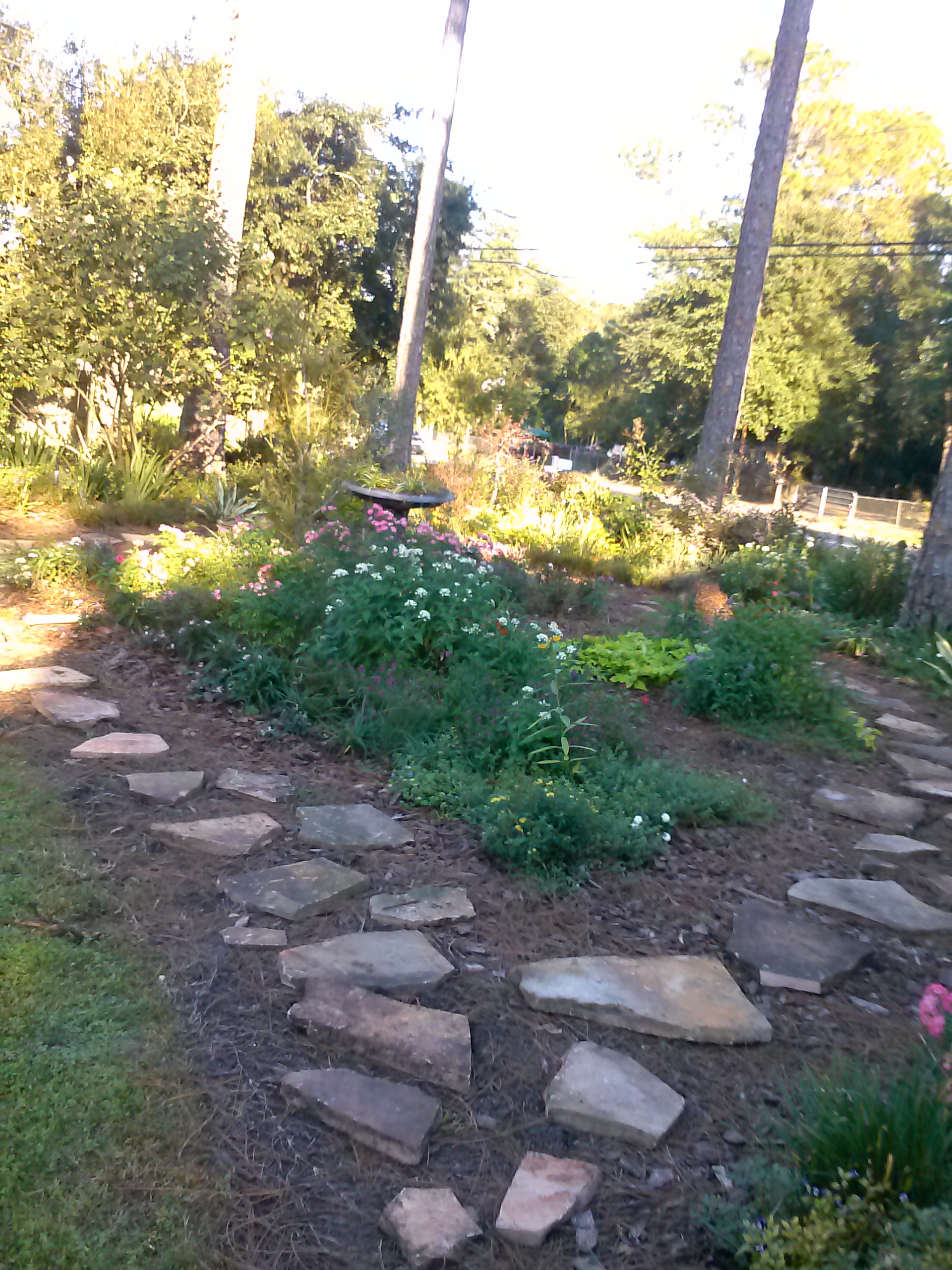 Form, Elements of Art in the Landscape – Tree Farm & Nursery