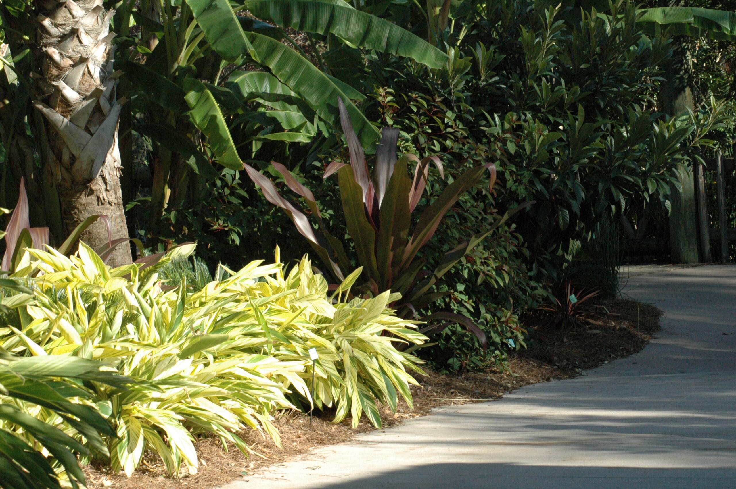 A Quick Look at Elements of Art in Landscape Design – Tree Farm & Nursery